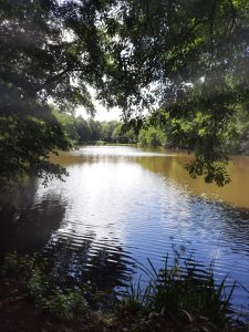 Lakes Of Gloucestershire, Forest of Dean & The Cotswolds