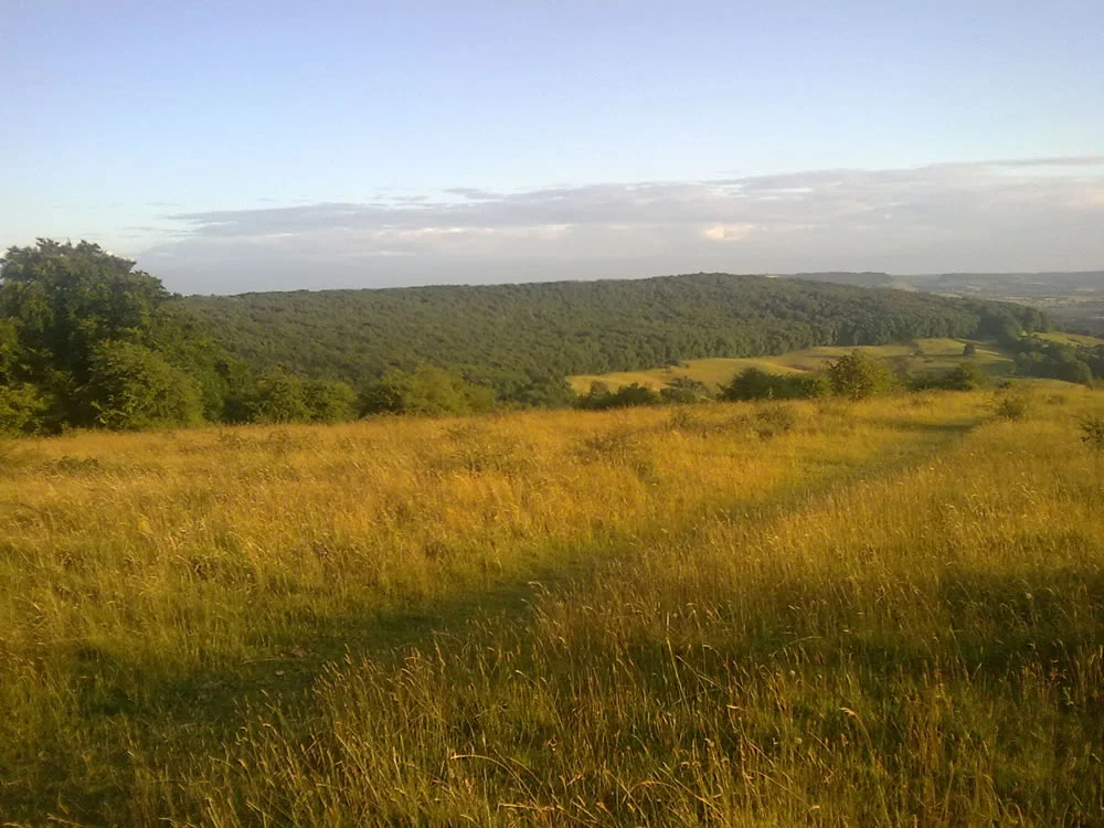 Countryside Walks in The Cotswolds
