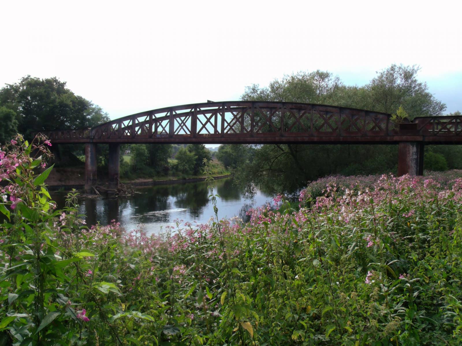 Forest of Dean Visitor Guide: Things to do & Places to Visit