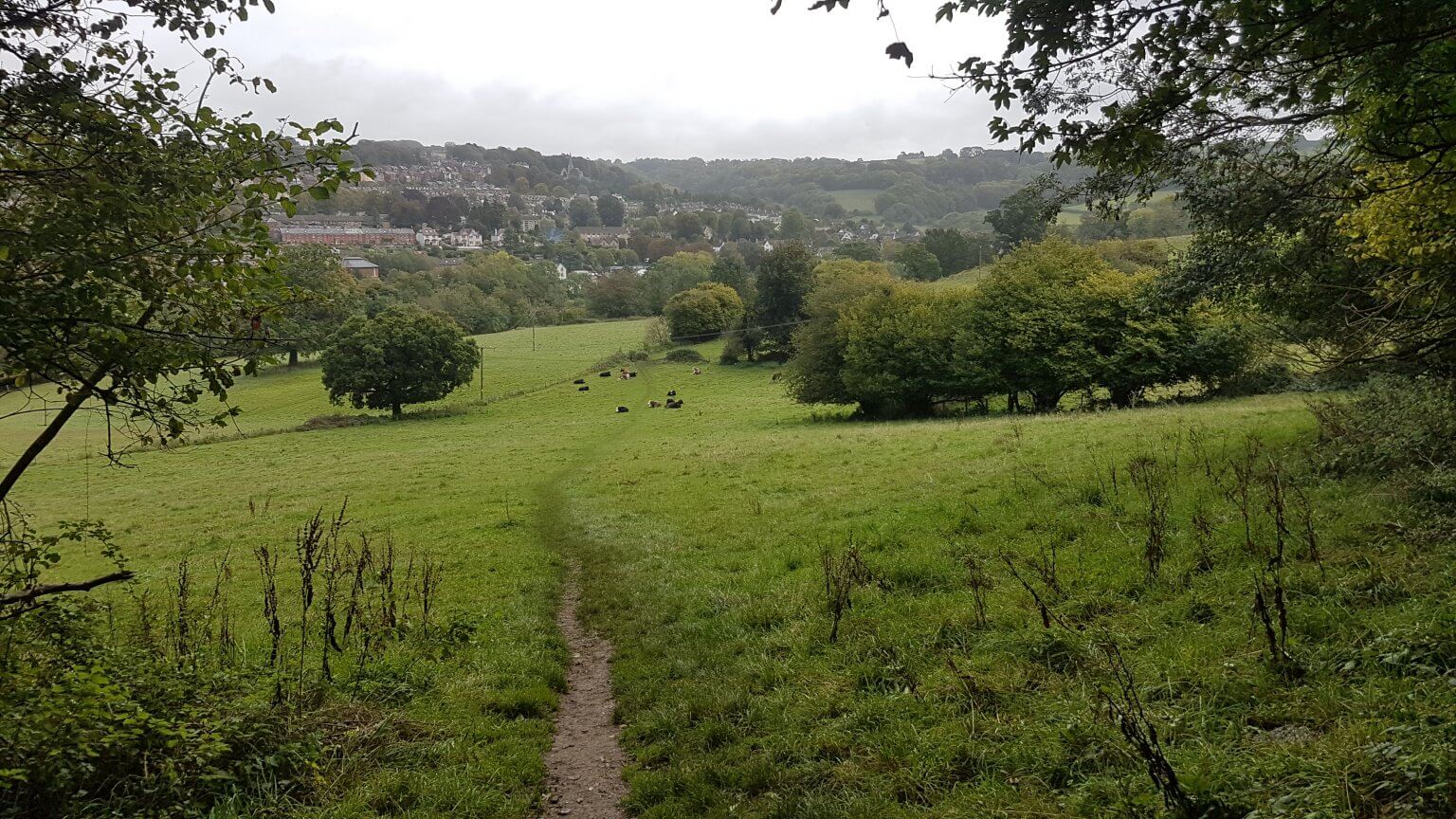 Rodborough Common Walks, The Fort & Pubs in the Village