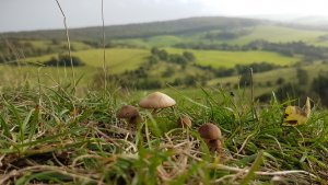 Visit Dursley A Town in the Cotswolds, Gloucestershire