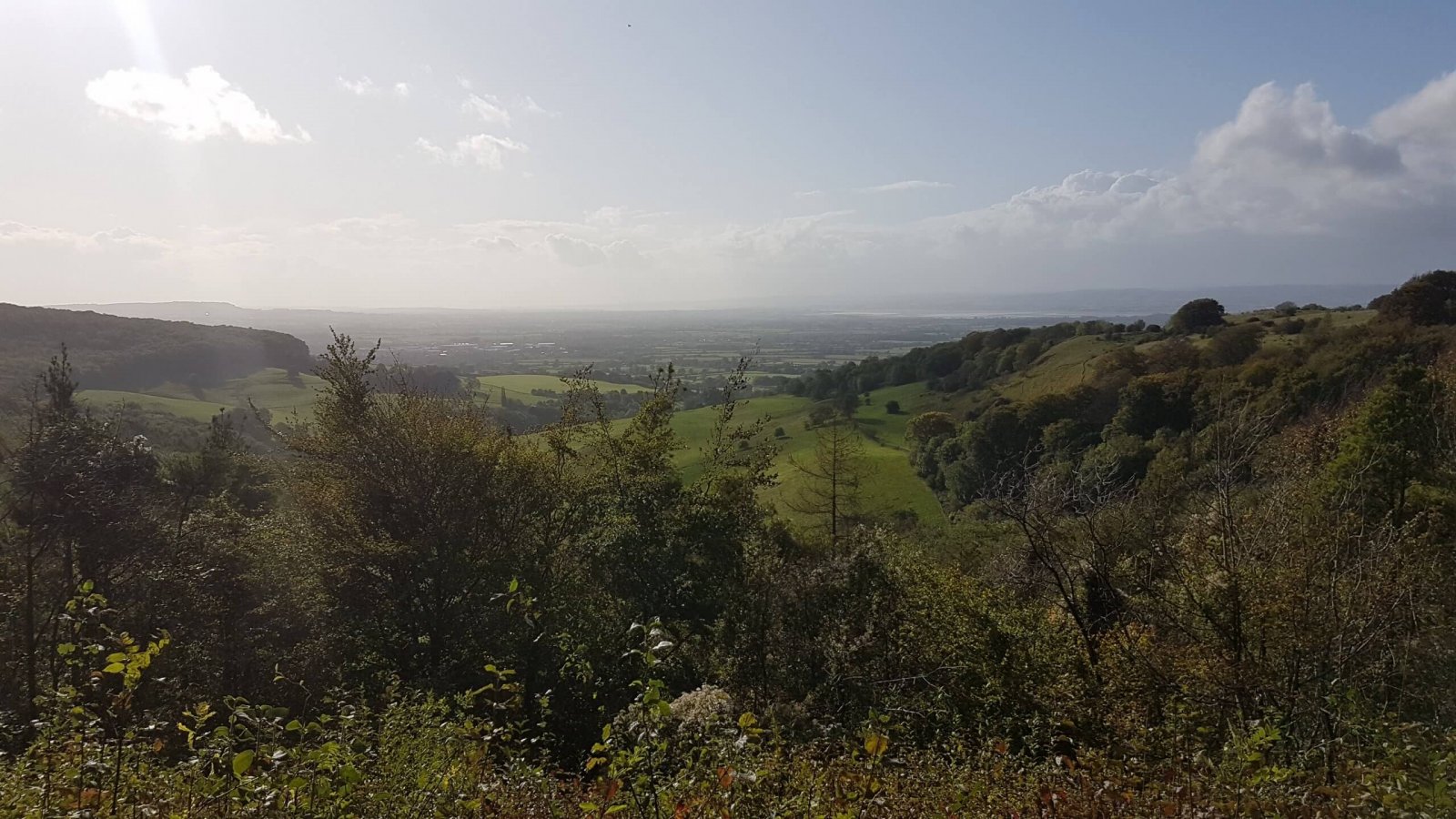 Walk through Standish Woods & Haresfield Beacon Then To Beacon Pub