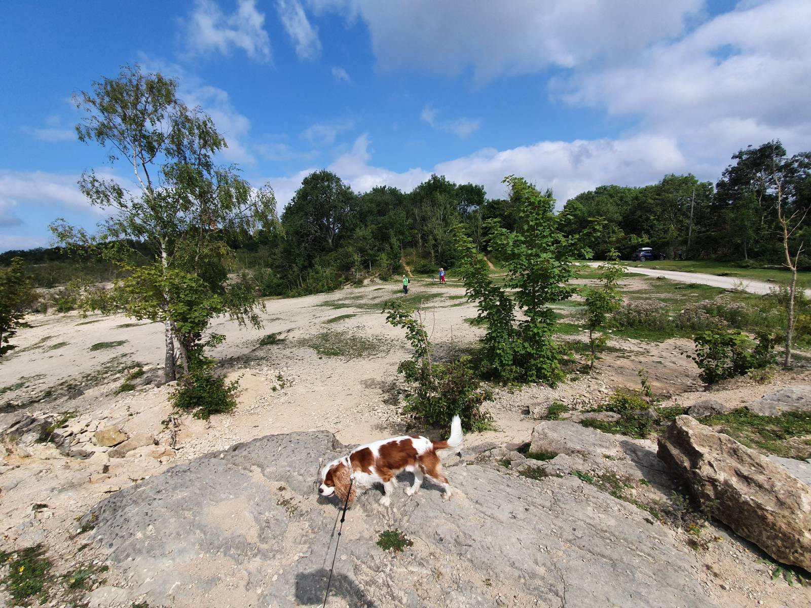 Walks & hiking In Gloucestershire including Beautiful Routes