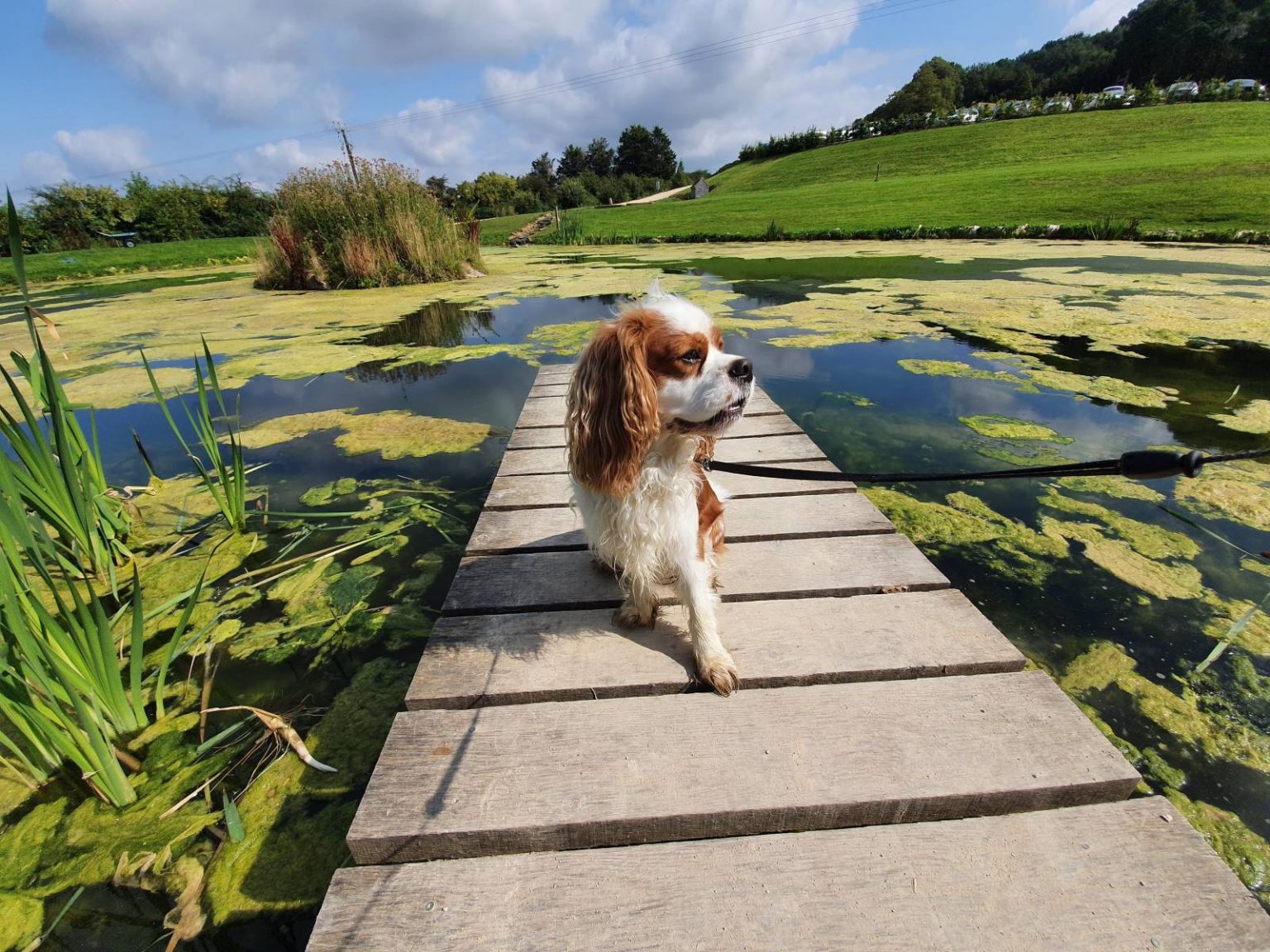 Visit Dursley A Town in the Cotswolds, Gloucestershire