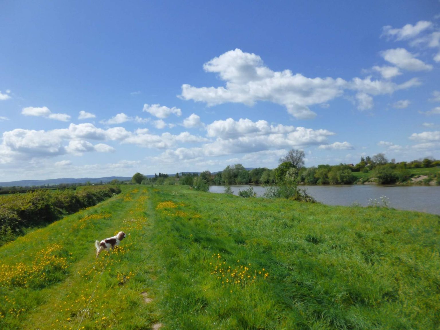 The Severn Bore - Tidal Wave in Gloucestershire, UK 2023