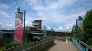 Visit WWT Slimbridge & Enjoy Birds, Walks & Pubs